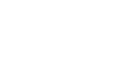 Callirius Project Portal